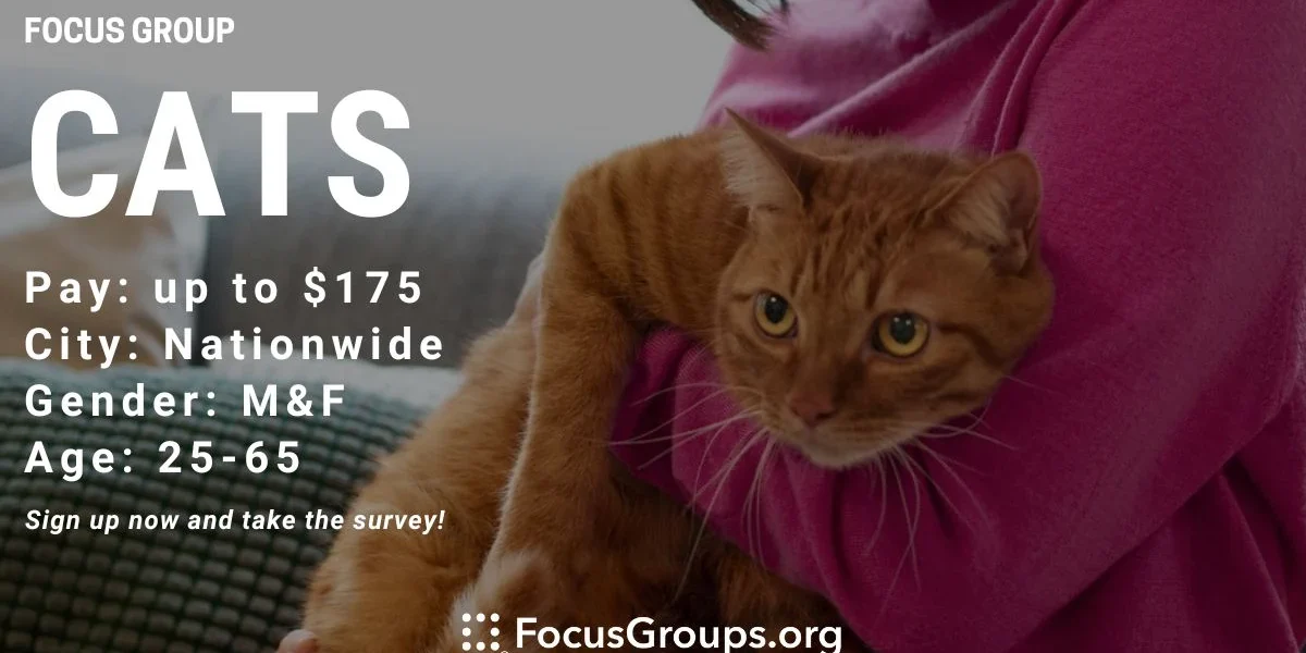Focus Group for Owners on Cats - up to $175 - 12/16/2023