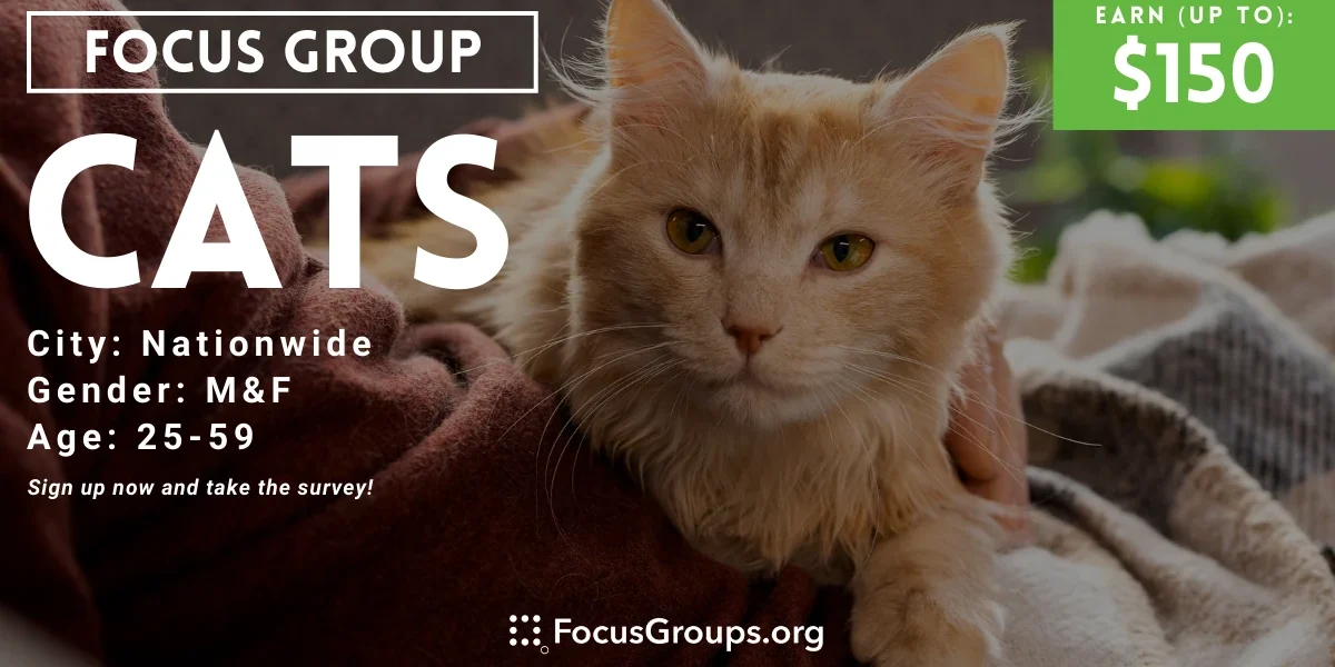 Focus Group on Cats - up to $150 - 03/11/2024